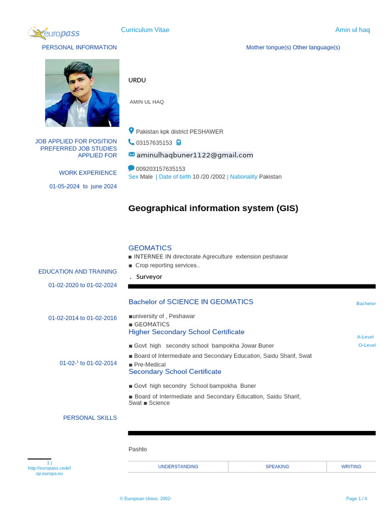 AMIN CV | PDF | Geographic Information System