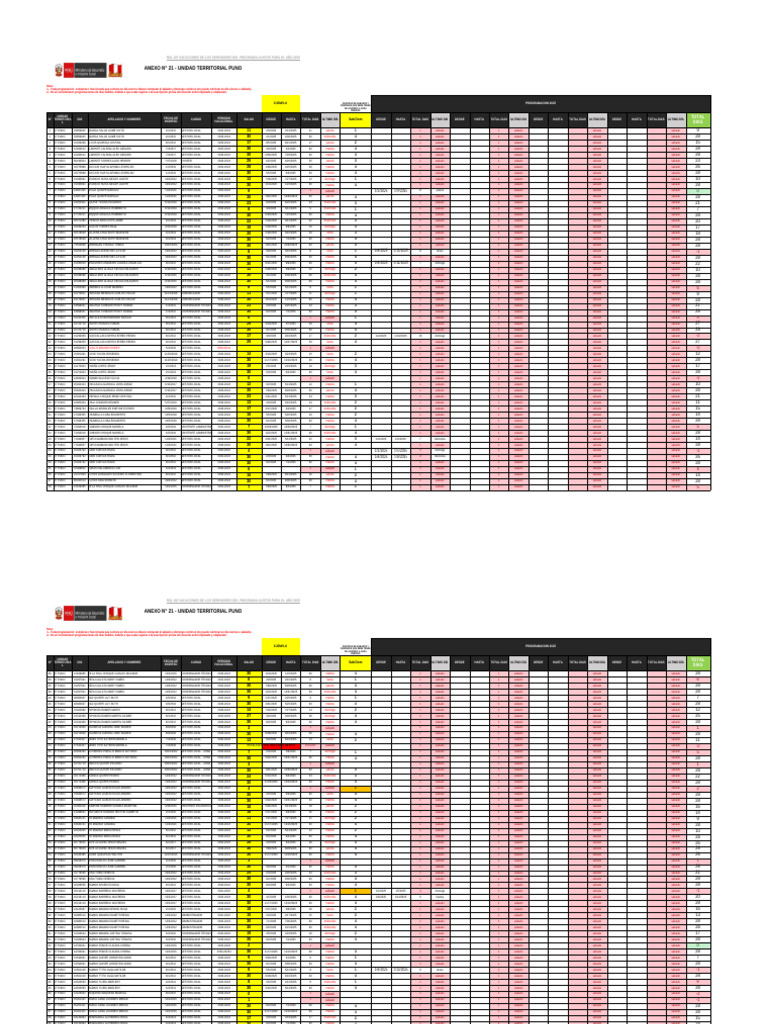 Programacion Anual 2025 Puno Saldos | PDF