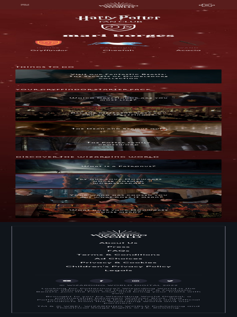 Wizarding World - Profile | PDF