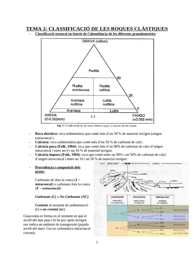 Tema 2. Classificació de Les Roques Clàstiques | PDF