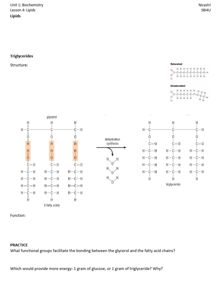 U1L4 Lipids Students | PDF