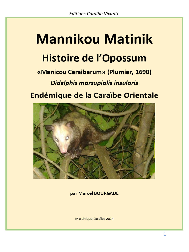 Histoire du Manicou en Martinique | PDF | Île | Marsupiaux