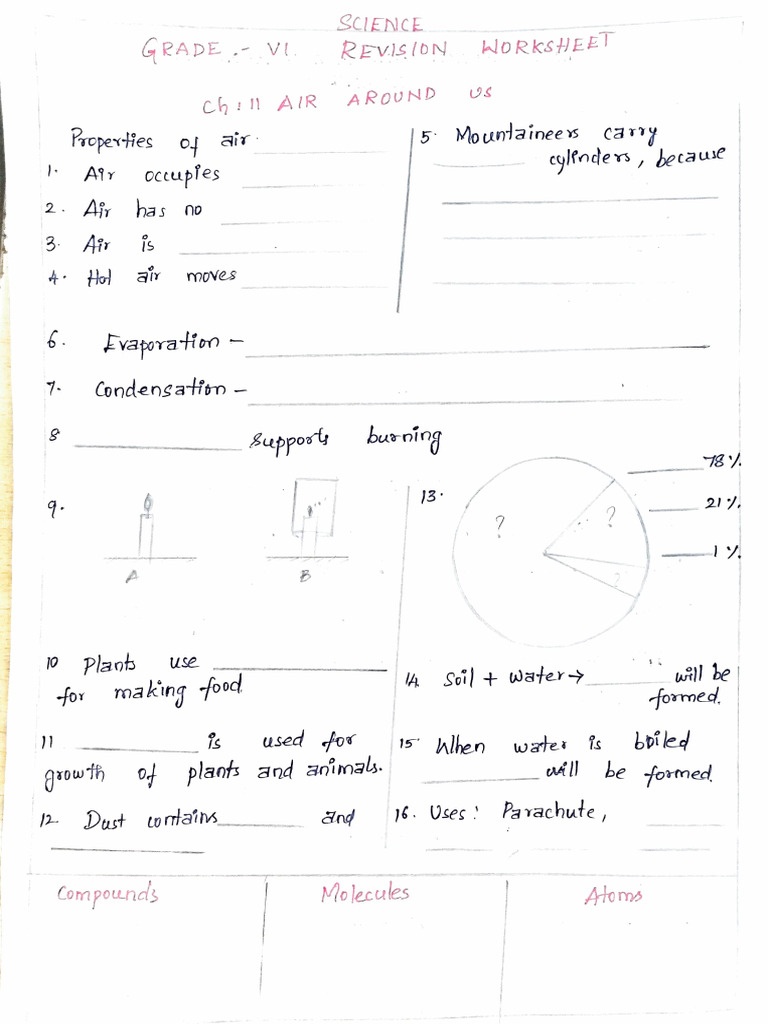 Gr-6 Revision Worksheet | PDF