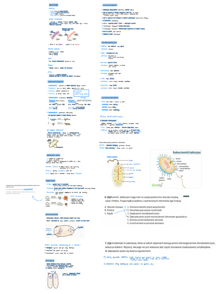 Bakterie | PDF | Inteligencia artificial | Inteligencia (IA) y semántica
