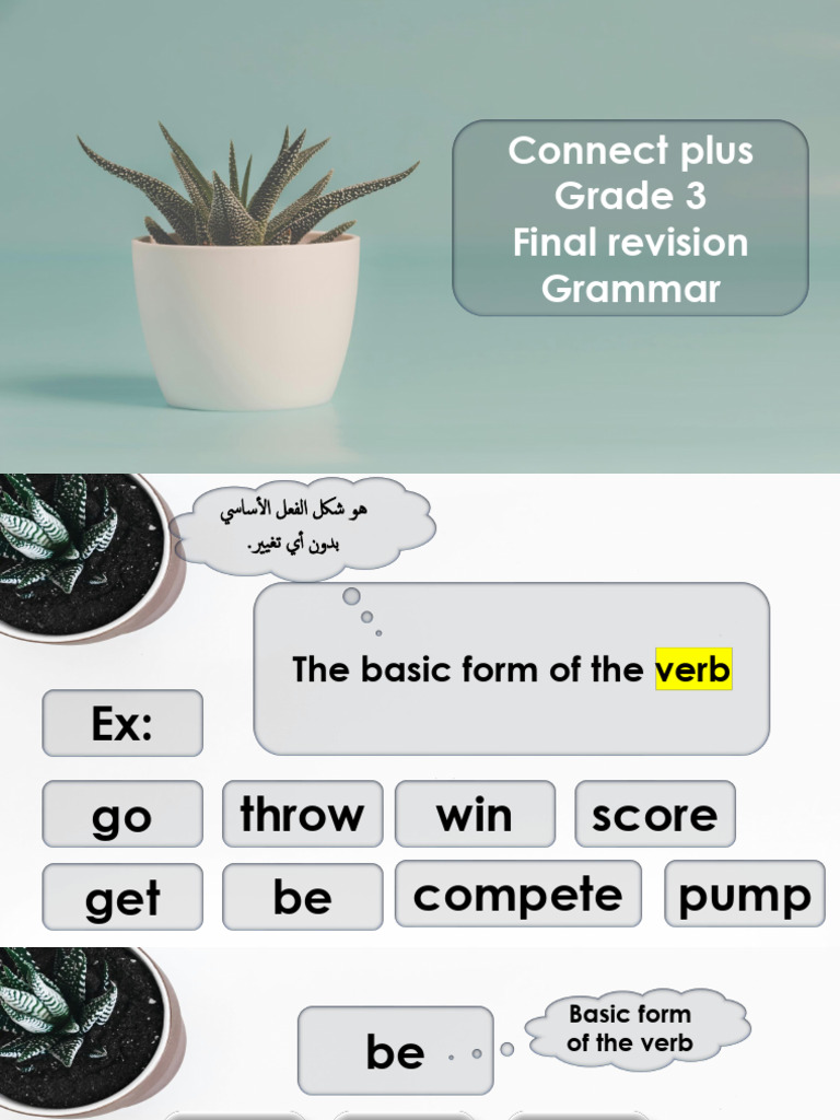 Connect Plus 3 Grammar Final Revision | PDF | Linguistics | Grammar