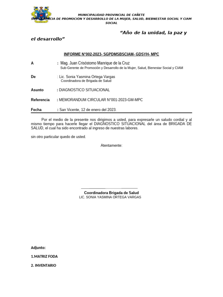 Informe N°002-2023-Bds-Diagnostico Situacional | PDF