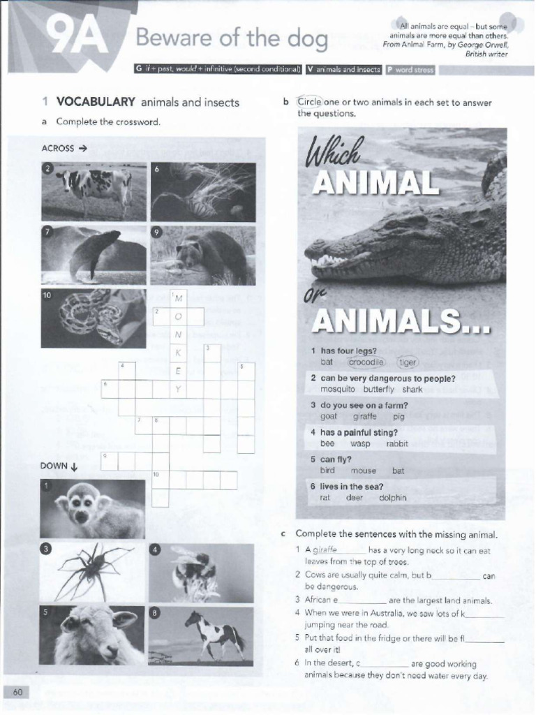 Unit 9 Homework | PDF