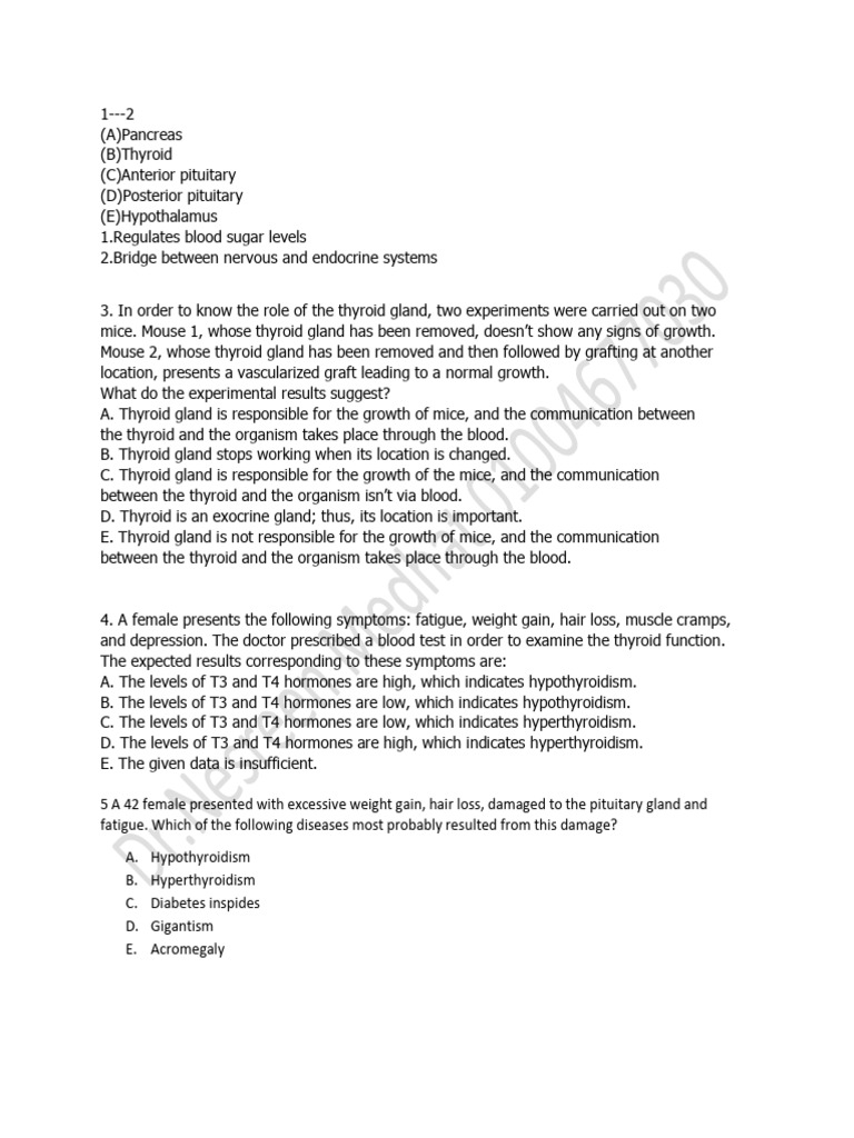 Thyroid and Endocrine System Quiz | PDF | Endocrine System | Pancreas