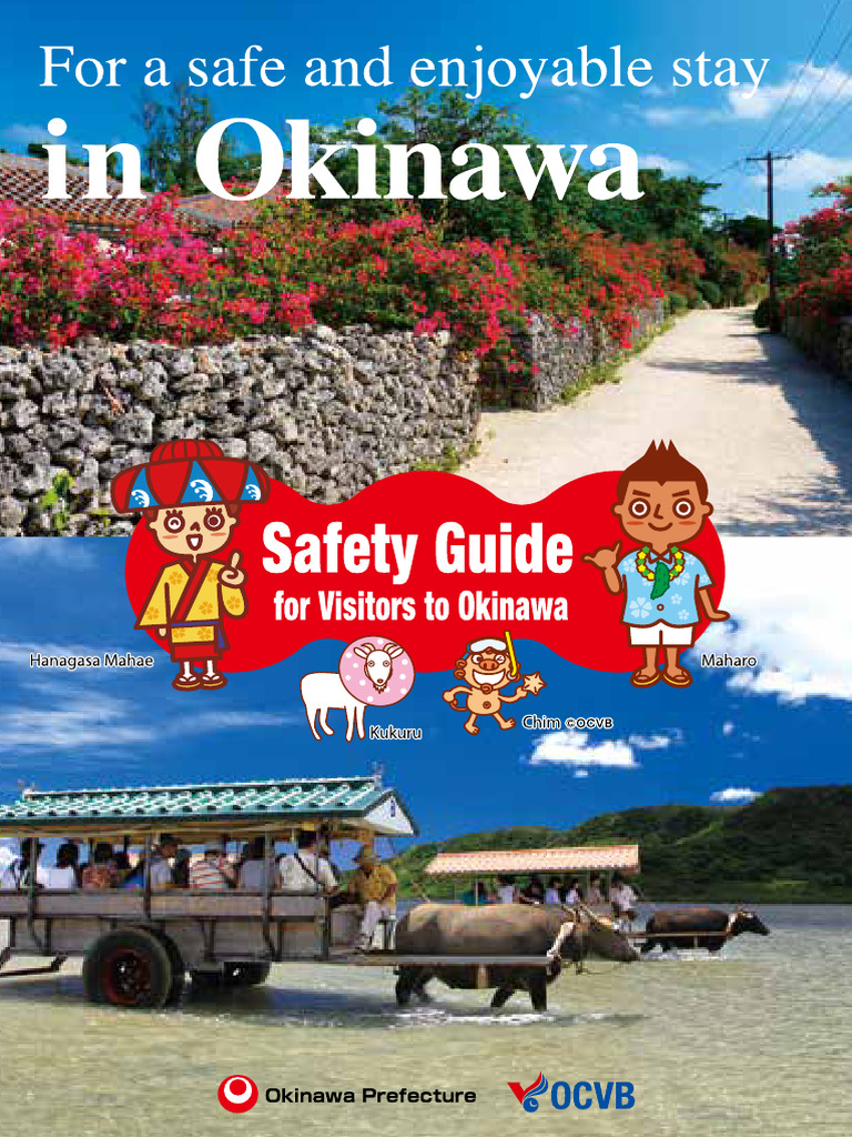 Health Tips for Okinawa Islands Visitors | PDF