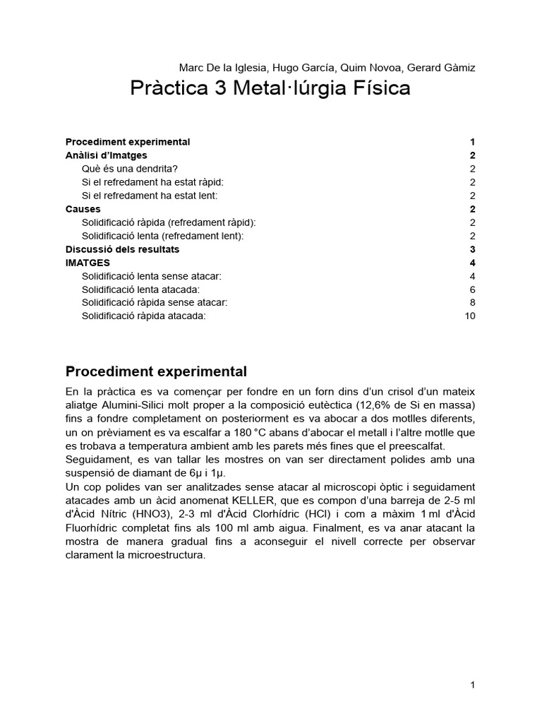 Practica 3 MEF | PDF