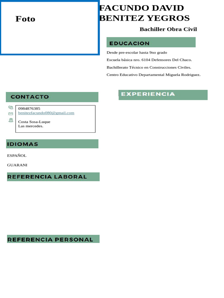 Curriculum Vitae de Facundo Benitez | PDF