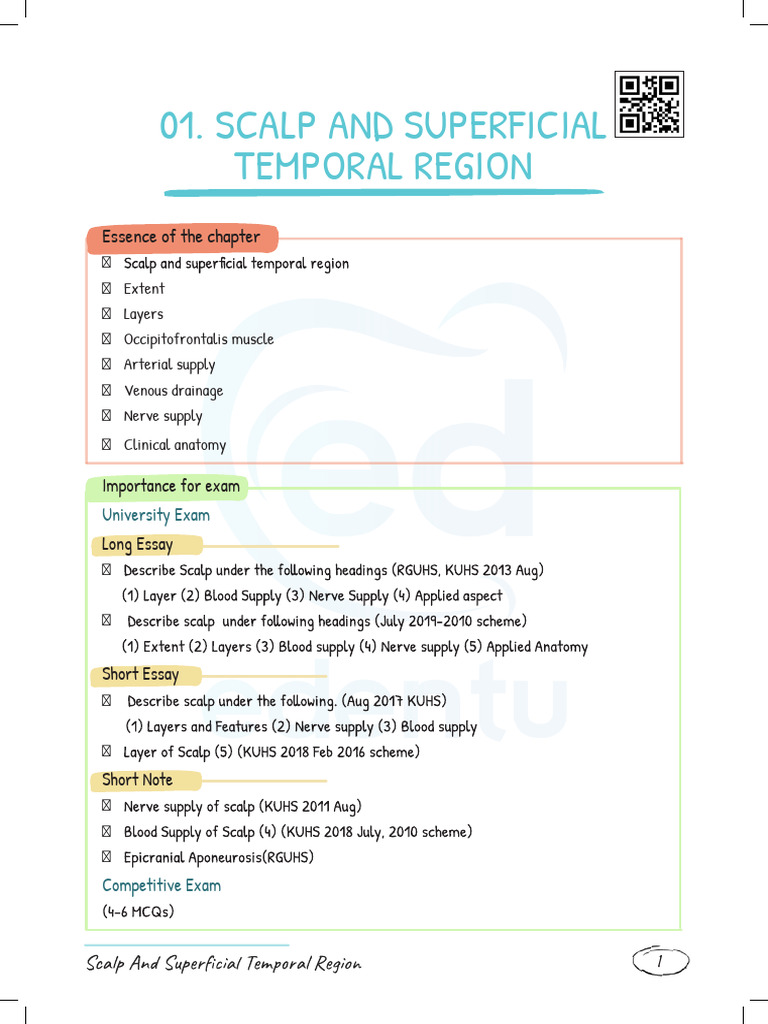 Scalp Superficial Temporal Region | PDF | Human Anatomy | Human Head ...