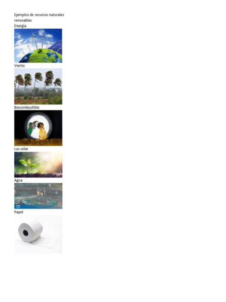 Documento (4) - Editado | PDF