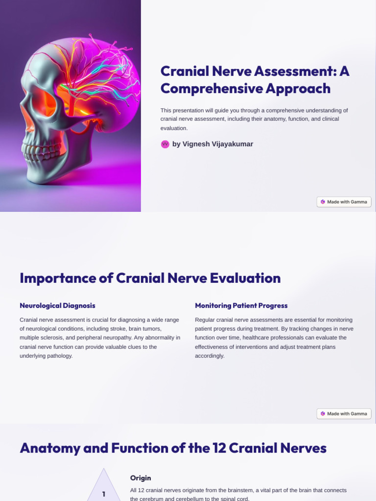 Cranial Nerve Assessment A Comprehensive Approach | PDF | Nerve | Neurology