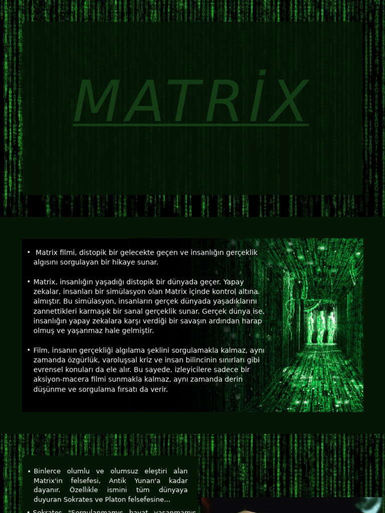 MATRİX | PDF