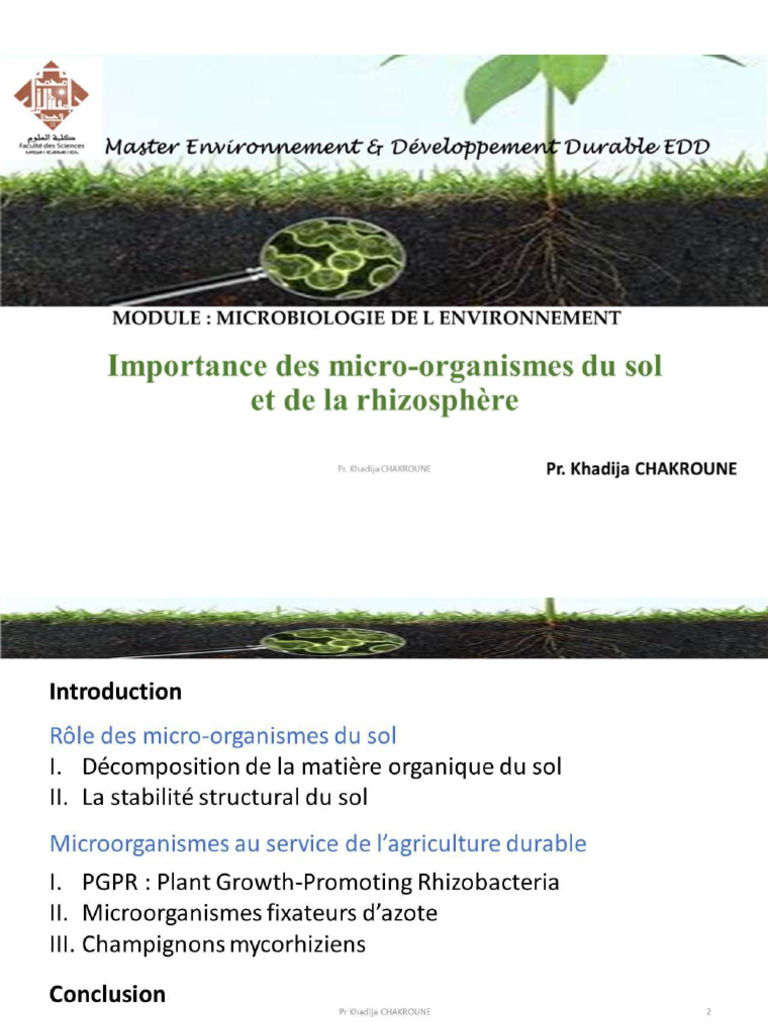 Cours Microbiologie Environnement EDD7 2023 | PDF