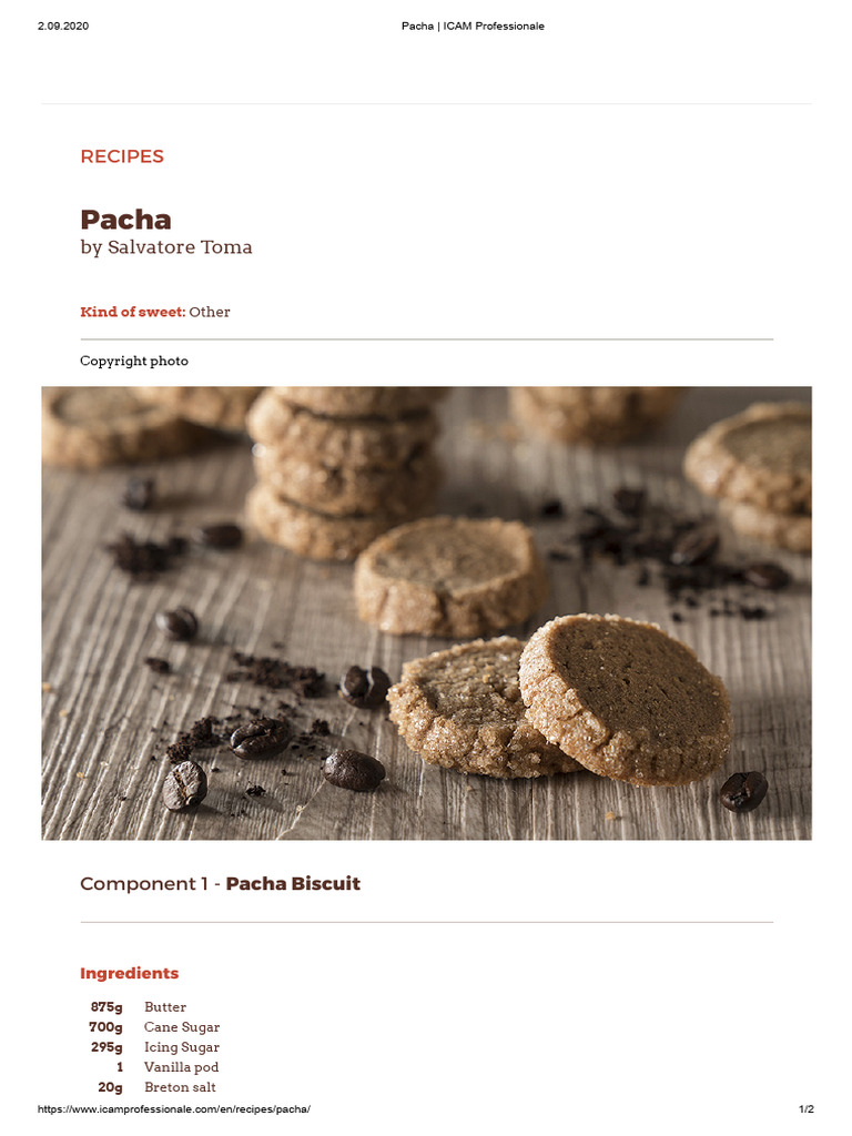 Pacha - ICAM Professionale | PDF