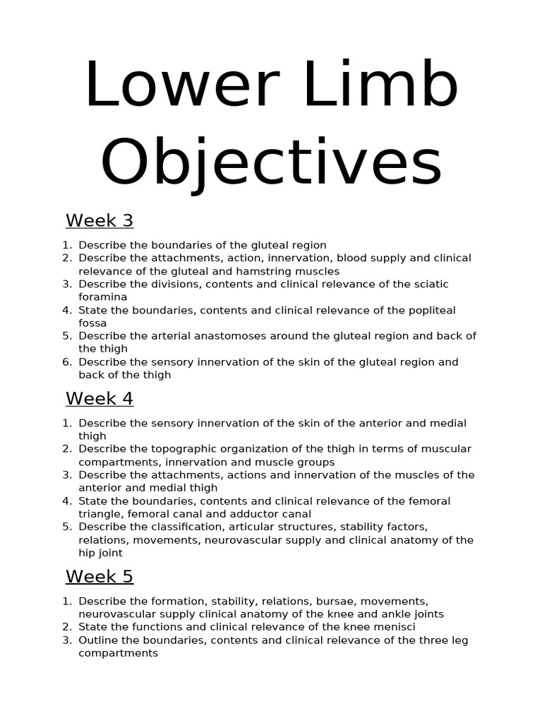 Lower Limb Objectives | PDF