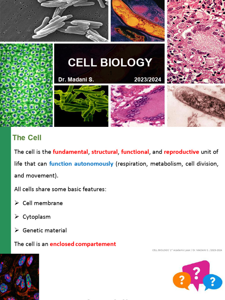 Overview of Cell Biology Concepts | PDF | Cell (Biology) | Prokaryote