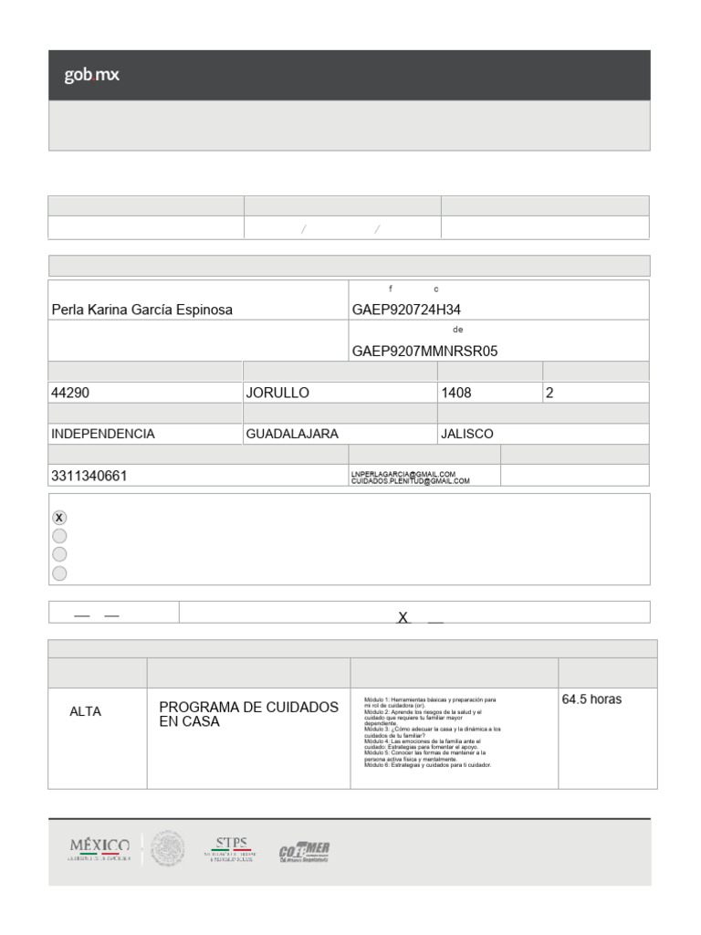 STPS Formato DC 5 Completo | PDF