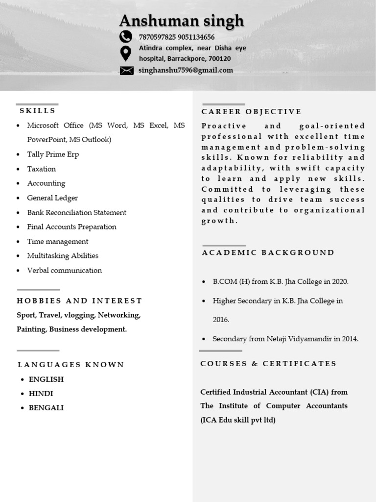 Resume Format - 2 | PDF