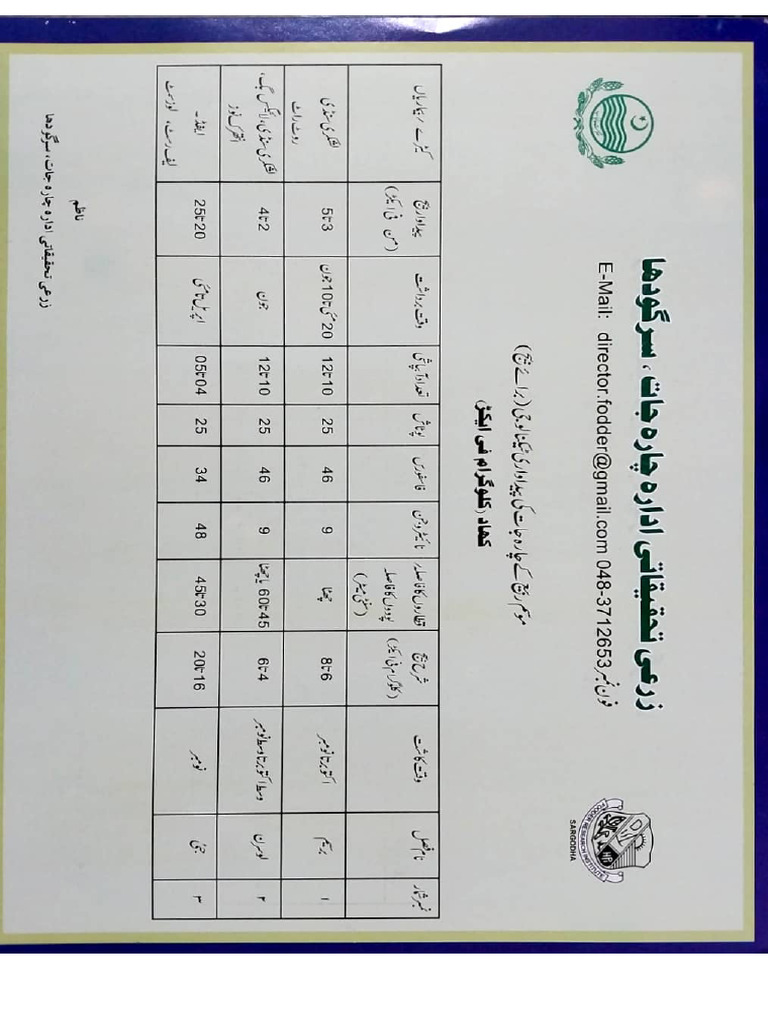 Pumphlet For Production Technology | PDF