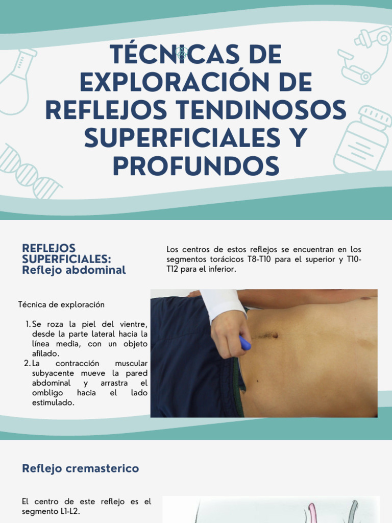 Tecnicas de Exploracion de Reflejos Tendinosos | PDF | Abdomen | Mano