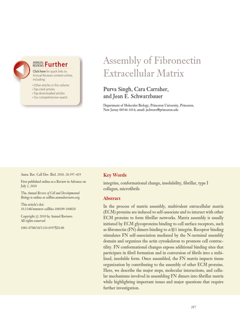 Assembly of Fibronectin Extracellular Matrix - REVIEW | PDF ...