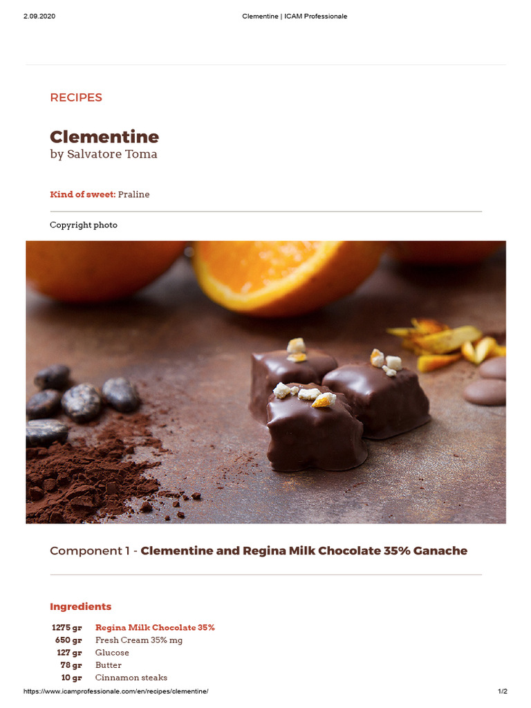 Clementine _ ICAM Professionale | PDF
