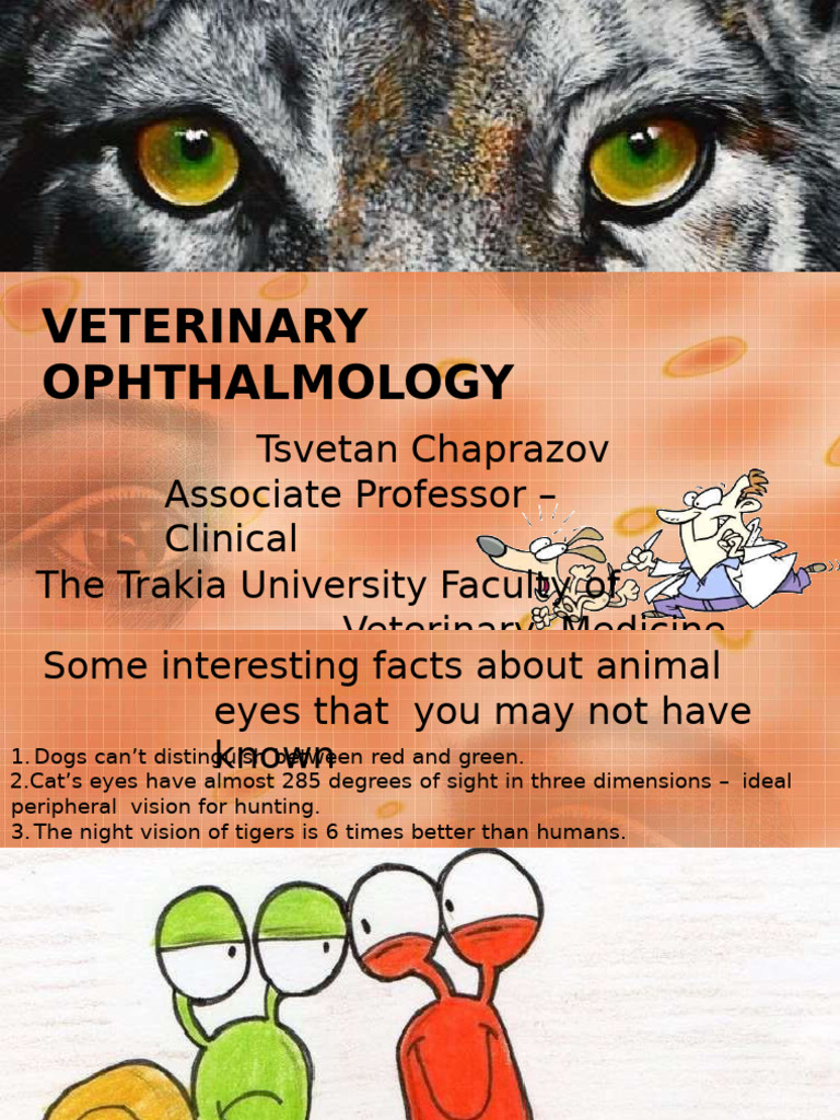 OPHTHALMOLOGY 2020 Lecture 1 EN | PDF | Diseases And Disorders ...