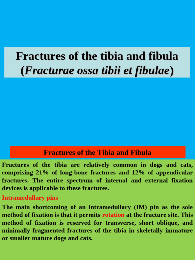 6 Orthopedics. Tibial and Fibular Fractures | PDF | Anatomical Terms Of Location | Skeletal System