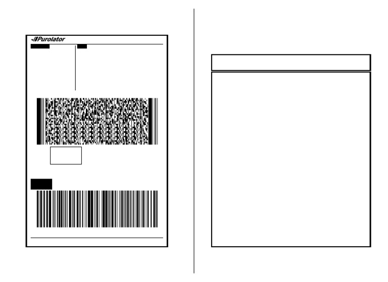Purolator Label | PDF | Cargo | Bill Of Lading