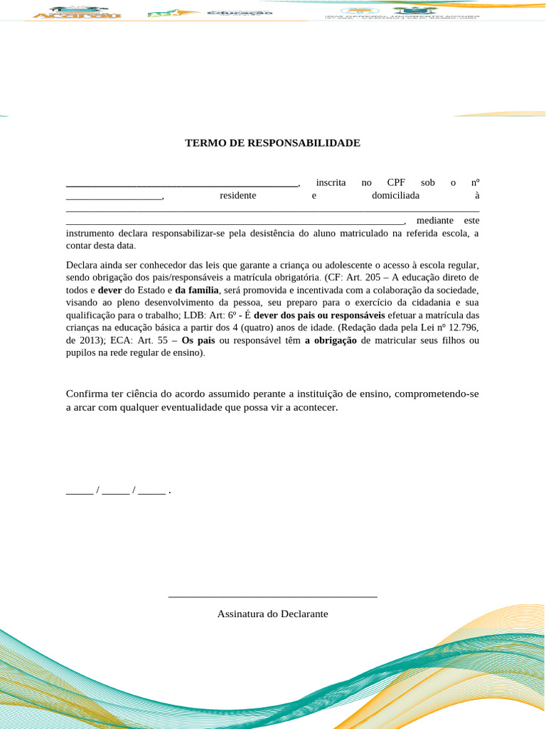 Termo de Responsabilidade | PDF