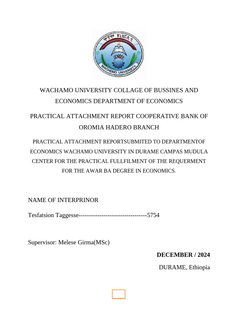 Abeje Arfito Practical Attachment | PDF | Banks | Money