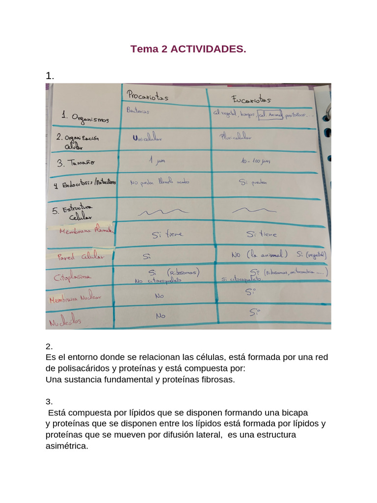 Fisio Act Tema 2 | PDF