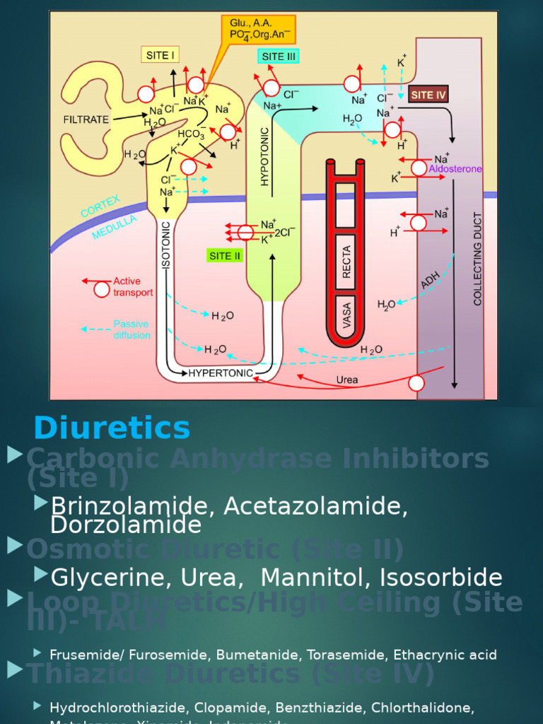 Diuretics and Antidiuretics Overview | PDF