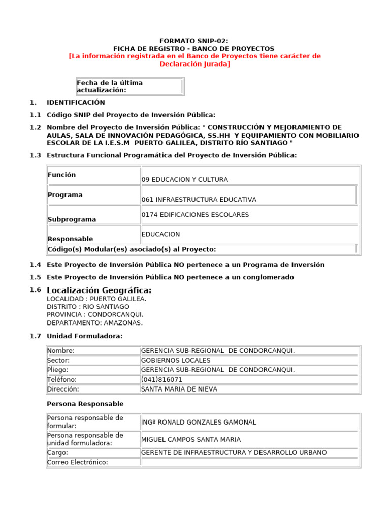 Formato Snip 1 | PDF | Economias