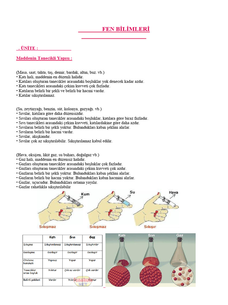 Sinif 6 Fen 2 Donem 1607539225 | PDF