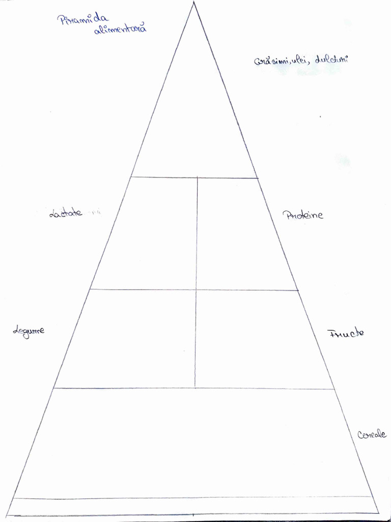 Piramida Alimentara PDF Act1. | PDF