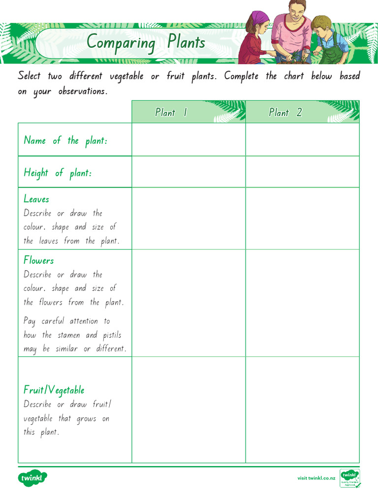 Comparing Plants Activity | PDF
