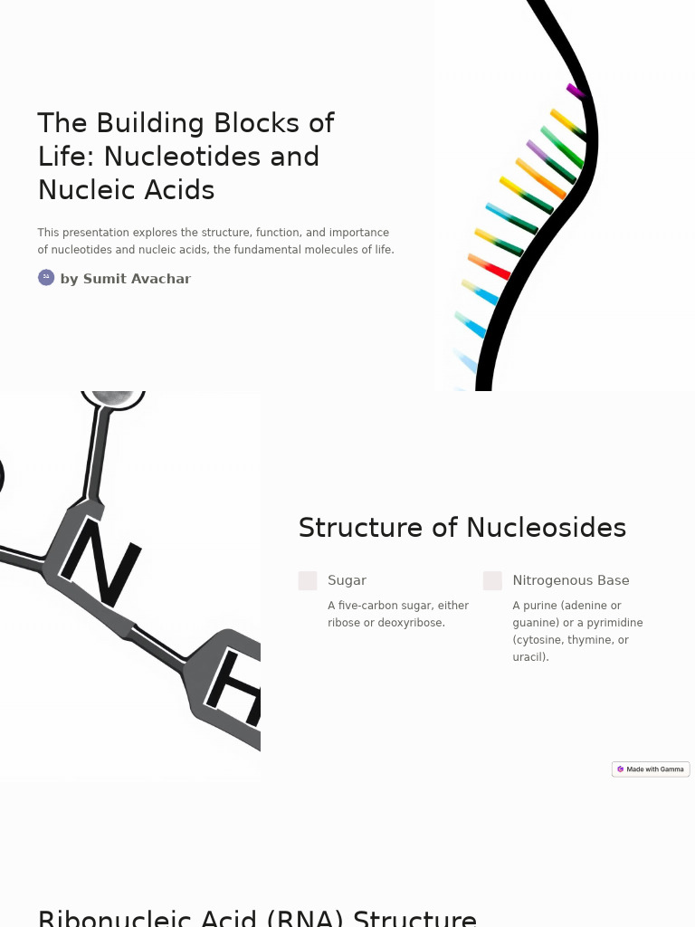 The-Building-Blocks-of-Life-Nucleotides-and-Nucleic-Acids (1) | PDF ...