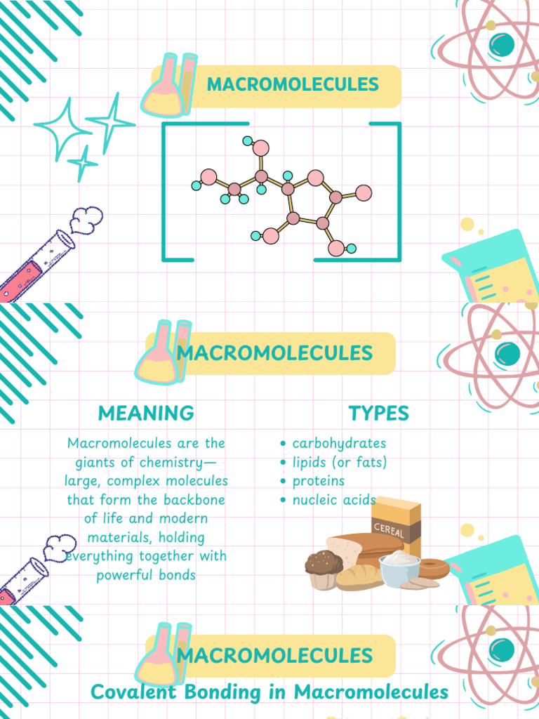 Understanding Macromolecules and Their Uses | PDF | Metals | Alloy