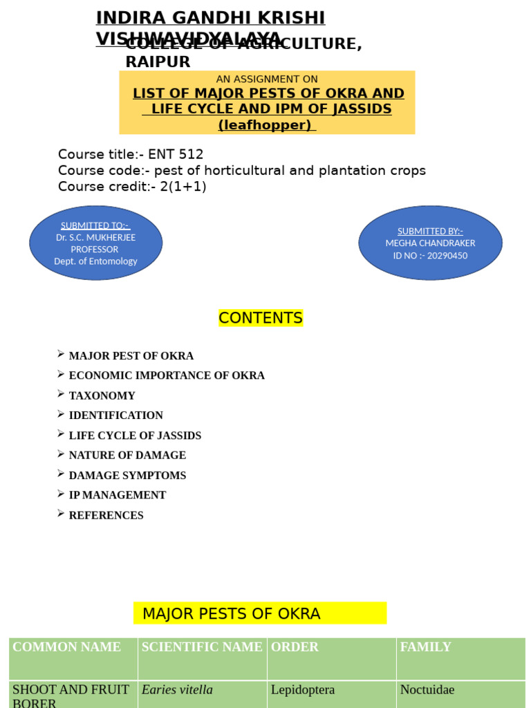 Okra Pests & Jassid Management | PDF | Insects And Humans | Insects