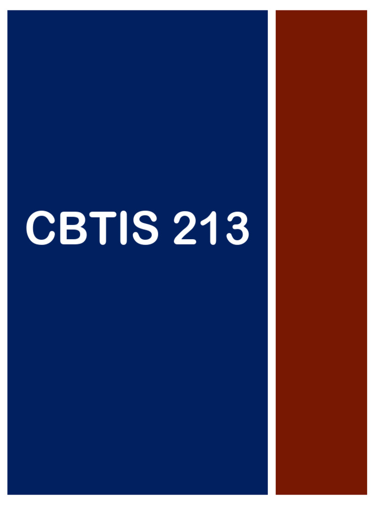 Horarios Matutinos CBTIS 213 2024 | PDF