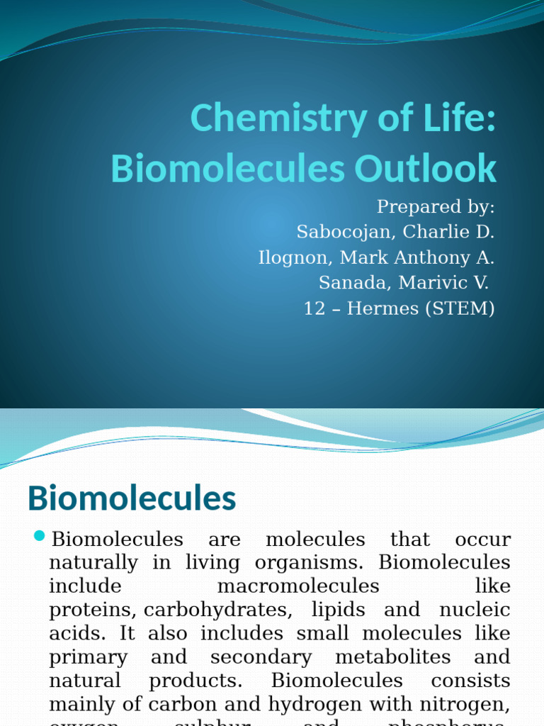 Understanding Biomolecules and Their Roles | PDF | Carbohydrates ...