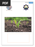 Introduction to Agriculture Overview | PDF | Agriculture | Domestication