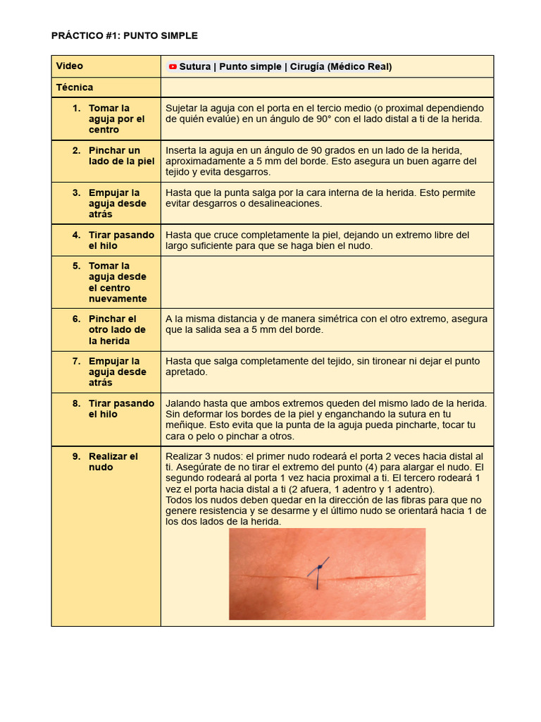 Guía Magistral Ecoe 2024.2 | PDF | Hombro | Codo