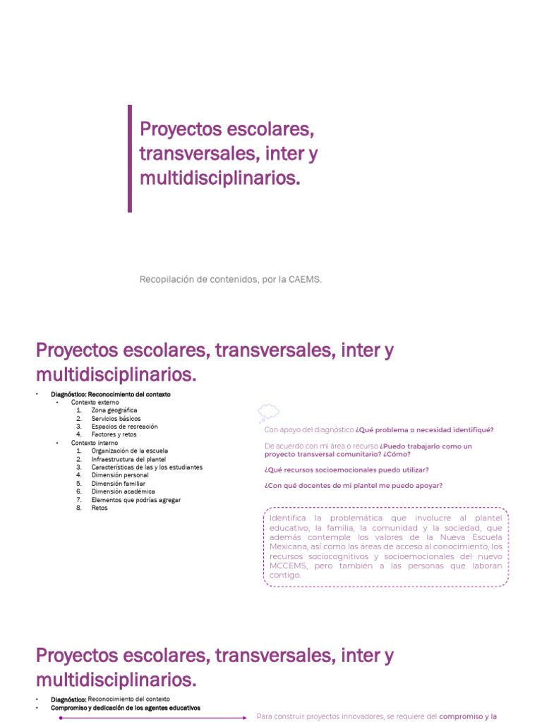 Proyectos Escolares - Transversales - Inter y Multidisciplinarios | PDF | Aprendizaje