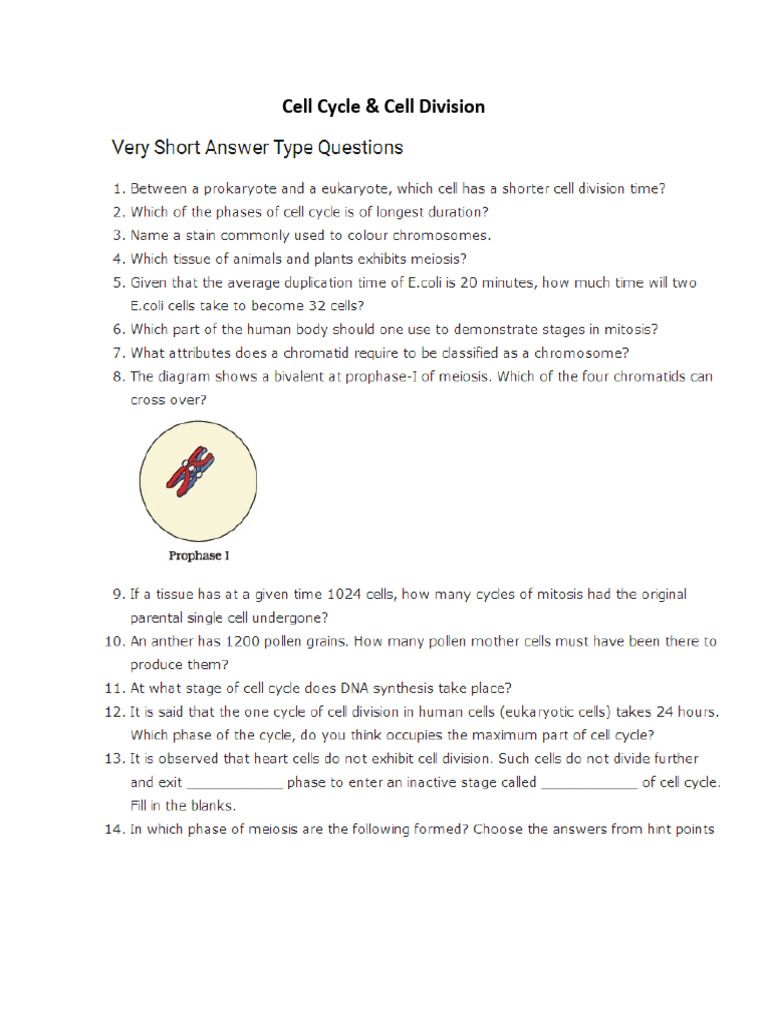 Cell cycle & Division | PDF