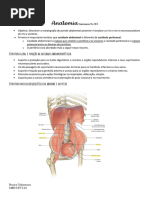 Anatomia do Peritônio e Cavidade Peritoneal | PDF | Peritônio | Corpo ...